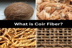 Coir Fiber: Properties, Production Process and Advantages - The Textile ...