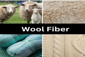 Wool Fiber: History, Properties, Production Process - The Textile Journal