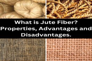 What is Jute Fiber? Properties, Advantages and Disadvantages.